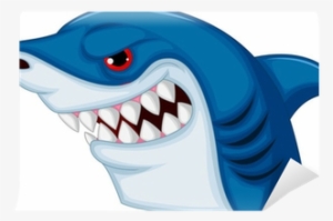 Shark Head Cartoon PNG Image | Transparent PNG Free Download on SeekPNG