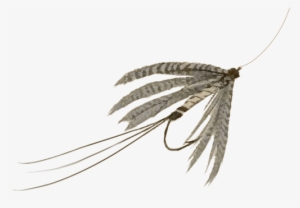 Fly Fishing Flies - Fly Fishing PNG Image | Transparent PNG Free ...