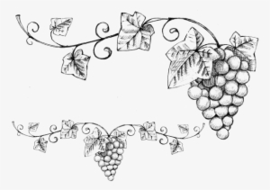 History Image - Line Art PNG Image | Transparent PNG Free Download on ...