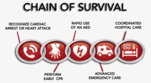 Heart Attacks And Cardiac Arrest Can Happen Anywhere - Adult Chain Of ...