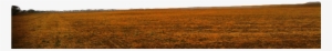 Ground Png Picture - Ground Png PNG Image | Transparent PNG Free ...