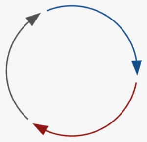Involvement And Advice Throughout The Entire Fund Cycle - Circle PNG ...