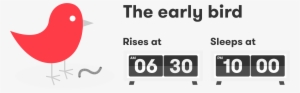 Earlybird-04 - Early Bird Late Bird PNG Image | Transparent PNG Free ...