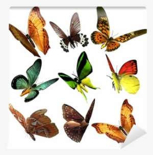 Making The Transition By Larry Fox PNG Image | Transparent PNG Free ...