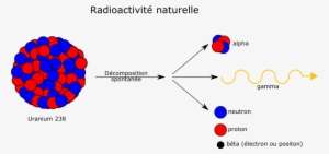 This Graphics Is Radioactivite Nature About Atom, Nucleus, - Radio ...