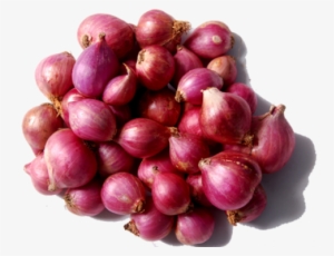 Small Onion - Small Onion In Kerala PNG Image | Transparent PNG Free ...