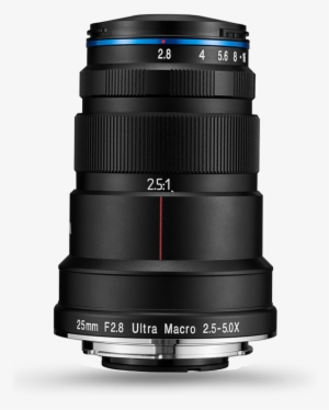 Image Image Image - Transparent Camera Frame PNG Image | Transparent ...