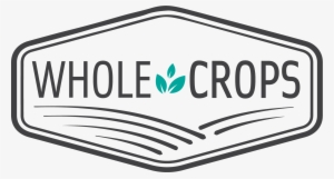 Heilbronn University PNG Image | Transparent PNG Free Download on SeekPNG