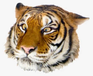 Wink - Nervous - Confused - Worried - Annoyed - Uncle Grandpa Giant ...