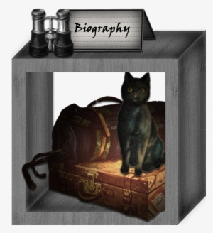 Biography - Book PNG Image | Transparent PNG Free Download on SeekPNG