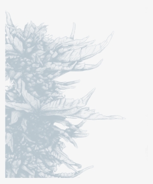 Bg - Outline Sketch Of Rectangle PNG Image | Transparent PNG Free ...