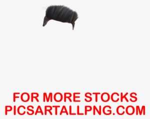 Cb Editing Hair Png,hair Png,picsartallpng - Picsart Photo Studio PNG ...