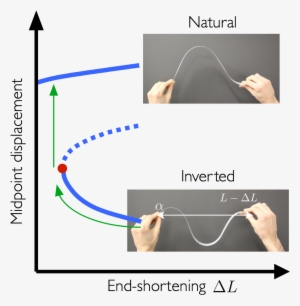 Hummingbirds, Umbrellas And Hopper Poppers Do It - Diagram PNG Image ...