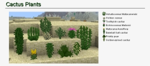 Cactus - Minecraft Plant Mega Pack PNG Image | Transparent PNG Free ...