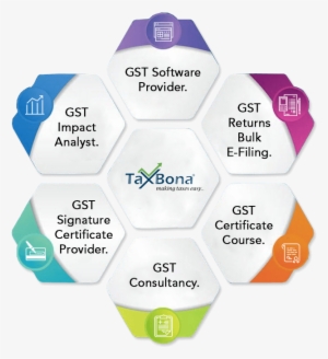 Gst Consulting Services In India - Turtle Free Vector PNG Image ...