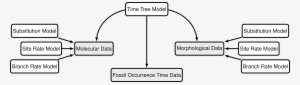 Modular Components Of The Graphical Model Used In The - Diagram PNG ...