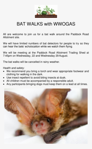 Wwogas Bat Walk Info Sheet - Vegetable Garden Illustration PNG Image ...