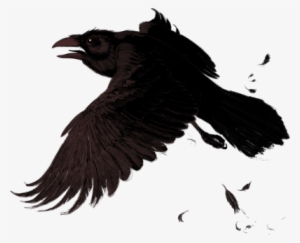 Send A Raven - Raven Png PNG Image | Transparent PNG Free Download on ...