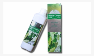 Calabash PNG Image | Transparent PNG Free Download on SeekPNG