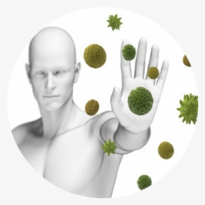 5 Excellent Super Foods For Boosting The Immune System - Immunity PNG ...