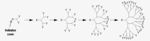 538 Divergent Synthesis - Divergent Method Of Dendrimer Synthesis PNG ...