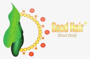 Ghgb Gold Letter Transparent Background - Portable Network Graphics PNG ...