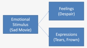 Expression-feeling Link - Facial Feedback Theory Of Emotion Psychology ...