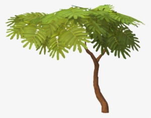 Acadia Logs - Acadia Tree PNG Image | Transparent PNG Free Download on ...
