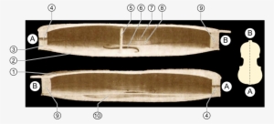 Sound Post On A Violin PNG Image | Transparent PNG Free Download on SeekPNG