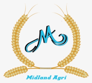 Multiple Image Upload - Design PNG Image | Transparent PNG Free ...