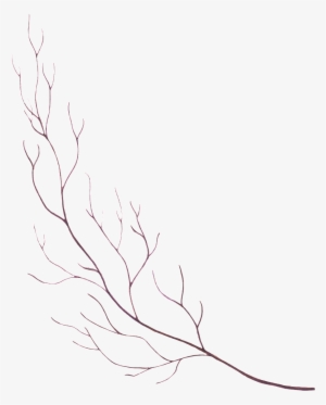 Una Rama Vectores - Line Art PNG Image | Transparent PNG Free Download ...