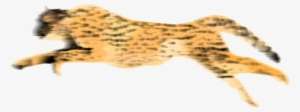 Cheetah Running Png - Transparent Background Cheetah Gif PNG Image ...