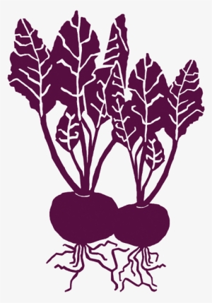 Beetroot Png PNG Image | Transparent PNG Free Download on SeekPNG