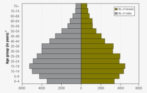 Population Pyramid - Population Pyramid Of Seoul PNG Image ...
