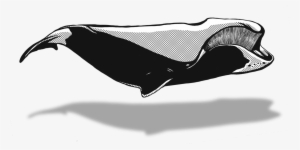 May - Illustration PNG Image | Transparent PNG Free Download on SeekPNG