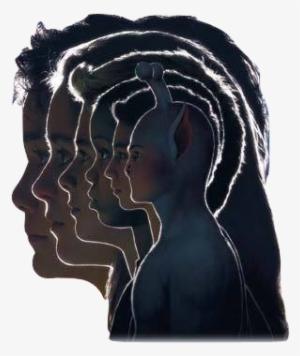 Animorphs 19 Transparent Pngs The Beginning By Dylandawaffleking ...