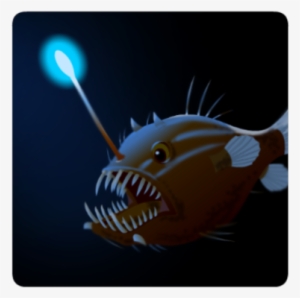 Angler Fish - Coral Reef Fish PNG Image | Transparent PNG Free Download ...