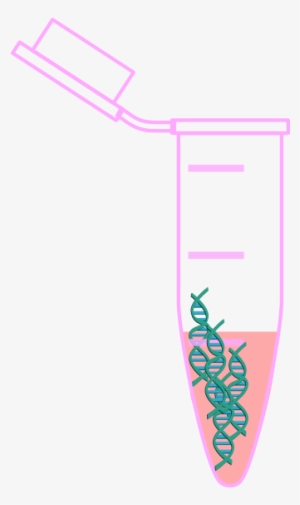 Tube With Dna PNG Image | Transparent PNG Free Download on SeekPNG