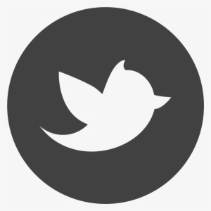 Twitter Flat Shadow Logo Icon - Twitter T Icon Png PNG Image ...