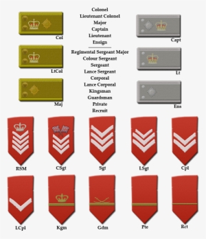 The Ranks Of The British Infantry In The Napoleonic - Napoleon Army ...