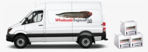 Mercedes-benz Sprinter Panel/crew Van - Lwb Mercedes Sprinter High Roof ...
