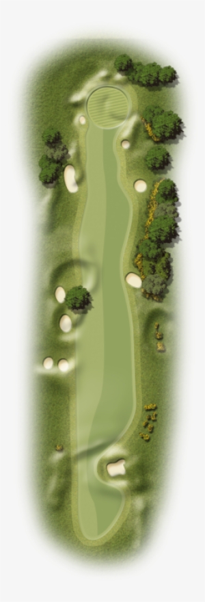 Tree Plan View Png Top View Trees Plans Trees Pinterest - Trees Plan ...