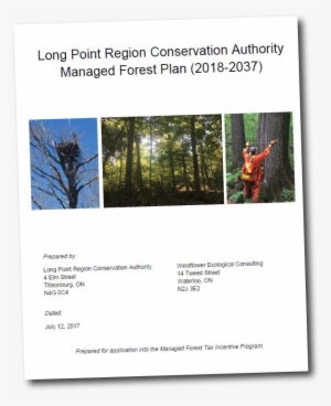 Click To View - Long Point Region Conservation Authority PNG Image ...