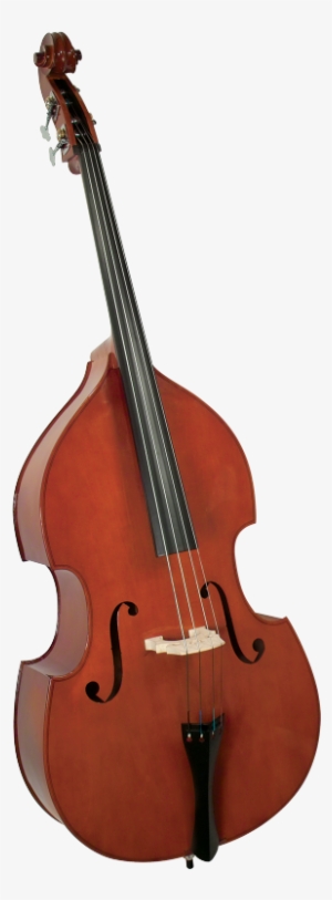 Bmus Double Bass - Joao Seara PNG Image | Transparent PNG Free Download ...