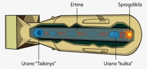 Gun-type Nuclear Weapon - Atomic Bomb Cross Section PNG Image ...
