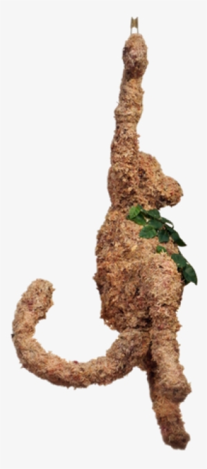Hanging Monkey Topiary Planted - Monkey PNG Image | Transparent PNG ...