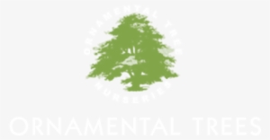 Ornamental Trees - Ornamental Plant PNG Image | Transparent PNG Free ...