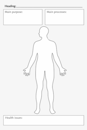 Following Is The Page To Photocopy For Learners To - Human Body System ...