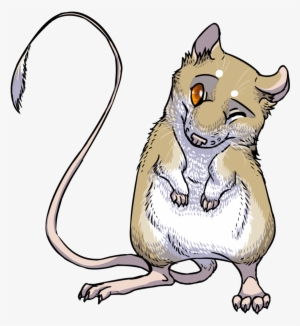 Rat Clipart Kangaroo Rat - Kangaroo Rat Clip Art PNG Image ...
