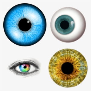 Yellow Eye Lens Png PNG Image | Transparent PNG Free Download on SeekPNG